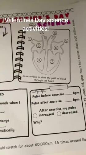 Valentine’s Day Science Activities: Heart & Human Body Responses Grades ...