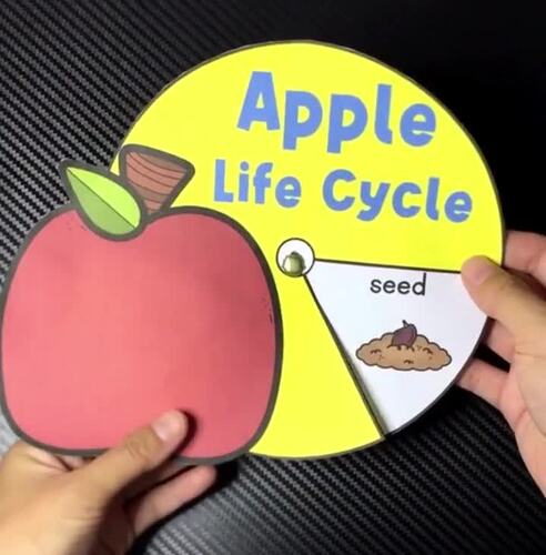 Apple Life Cycle Wheel Craft | Sequencing Activity | Fall Science | PreK-2