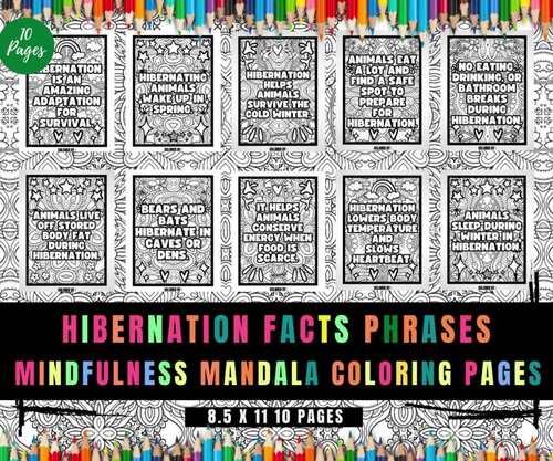 Hibernation Craft Fact Phrases Coloring, 3rd Grade, No Prep | TPT
