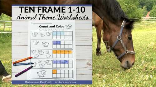 Animal Ten Frame Counting and Subitizing 1-10 Worksheets | TpT
