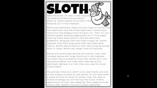 All About Sloths Nonfiction & Research Unit | K-2 Research Everything ...