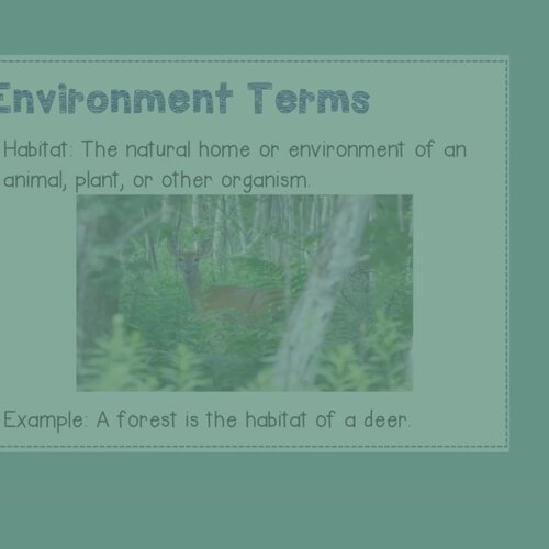 Environments Vocabulary-PowerPoint Presentation and Graphic Organizers
