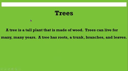 DIBELS 8 MOY & EOY Benchmark Assessments K-5 BIG BUNDLE by Peaceful ...