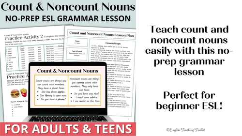 Beginner Adult ESL Count and Noncount Nouns Grammar Worksheets and ...