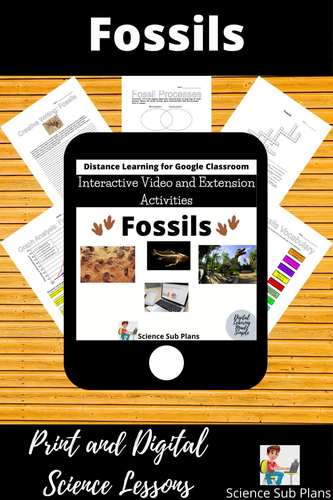 Fossils - Interactive Video and Extension Activities by Science Sub Plans