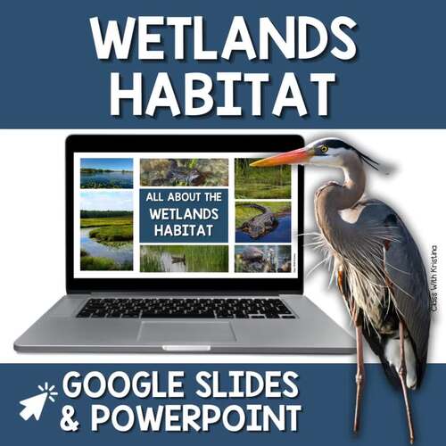 Wetlands Habitat Biome Google Slides & PowerPoint Presentation Science ...