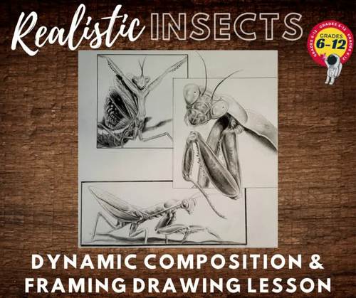 Realistic Insects Graphite Drawing & Composition, High School, Middle ...