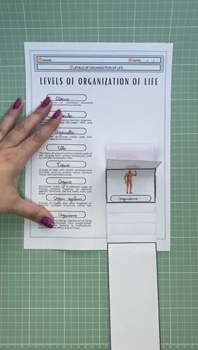 LEVELS OF ORGANIZATION OF LIFE by Cosmos Education | TPT
