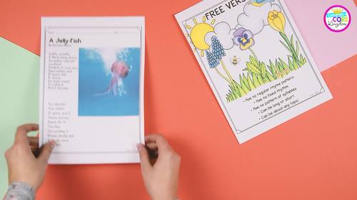 Types of Poems - Poetry Targeted Practice Unit - Printable & Digital ...