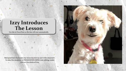 COOPERATION SHARING FRIENDSHIP SKILLS Zinnia & Dot SEL LESSON 3 Videos ...