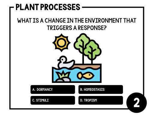 Plant Processes Digital Task Cards Activity | Science Boom Cards™