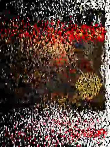 French and Indian War Causes and Effects | Editable Printable Google ...