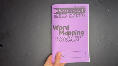 Grade 3 Sound Alike Spellings Orthographic Mapping Booklet | Homophones ...