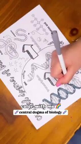 BIOLOGY COLORING WORKSHEETS - central dogma of biology by The Biology Chick