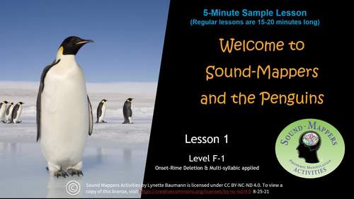 Sound-Mappers "Phonemic Awareness" Video Series Sample Lesson | TPT