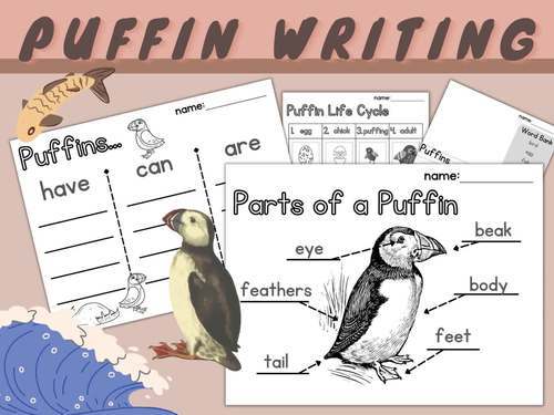Puffin Informative Writing | Anchor Chart Activity | Comprehension ...