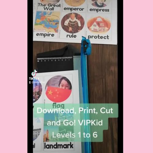 VIPKid Printable Vocabulary Flashcards NMC Level 1 2 3 4 5 6 MC Level 1 ...
