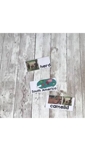 Distance Learning Nonfiction Zoo Animals Reading Passages NO PREP BUNDLE