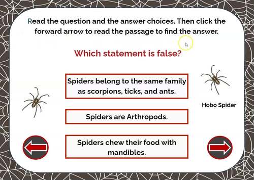 Spiders Arachnids Activity Scavenger Hunt BOOM Cards by CarolJ Creations