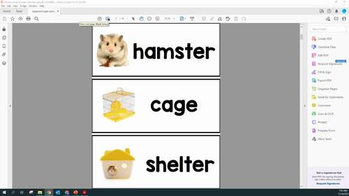 Classroom Pet Hamster Activities Writing Journal Data Tracking and More