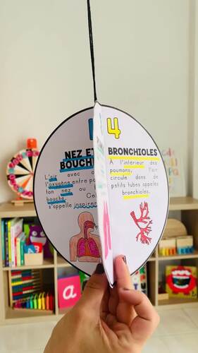 Système Respiratoire | Systèmes Corps humain | French Respiratory System