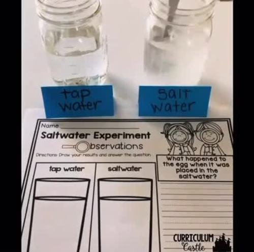 Ocean Exploration Unit: All About Ocean Life and Animals by Curriculum ...