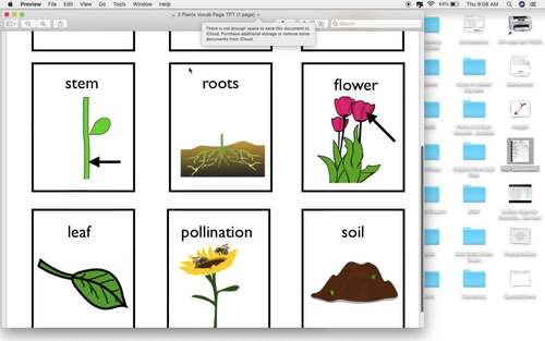 Special Education & Autism Science Unit: Plants Unit by Specially Adapted
