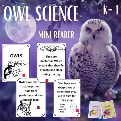 Owl Science Fact Activities by A Thinker's Toolbox | TPT