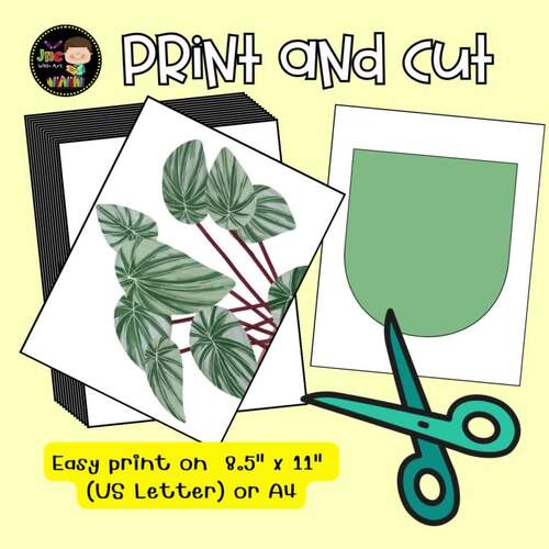 Plant-Themed Classroom Bulletin Board Kit, Back to school Growth ...