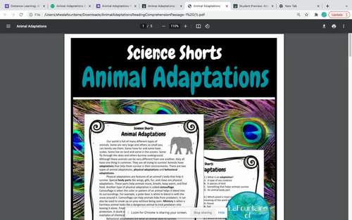 Animal Adaptations Reading Comprehension Passage by LaFountaine of ...