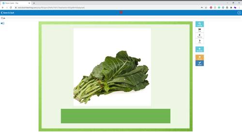 Vegetable Vocabulary #4 BOOM CARDS for Adult ESL by Rike Neville