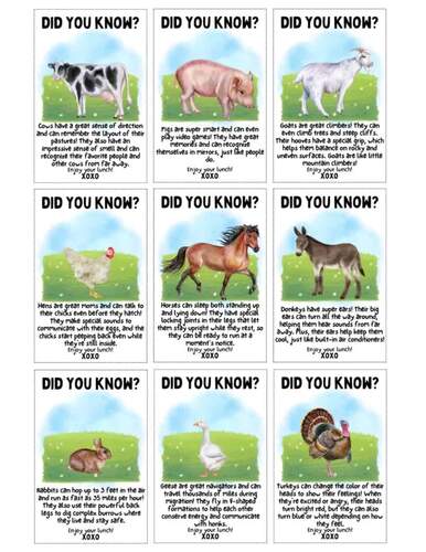 Animal Facts Cards by Our Wabi Sabi Life | TPT