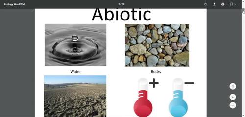 Ecology Word Wall/ Verbal Visual Dictionary by Scaffolded Science