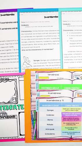 Vertebrates and Invertebrates Activity by Teaching Muse | TPT