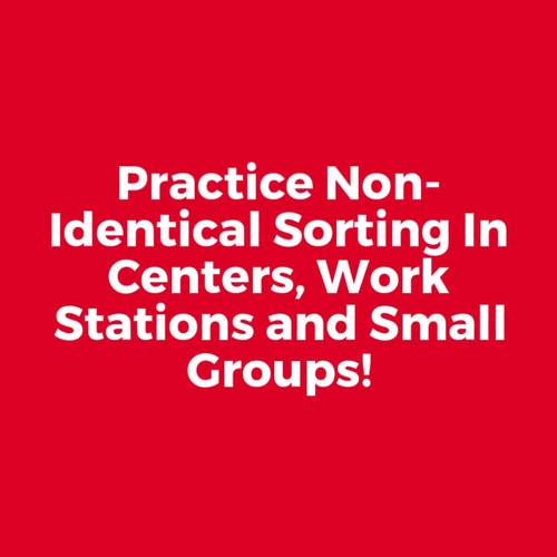 Sort By Category Mats (Set 2) w/Real Photos by File Folder Heaven