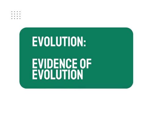 AP Biology: Evidence for Evolution Exam Review Questions | TPT