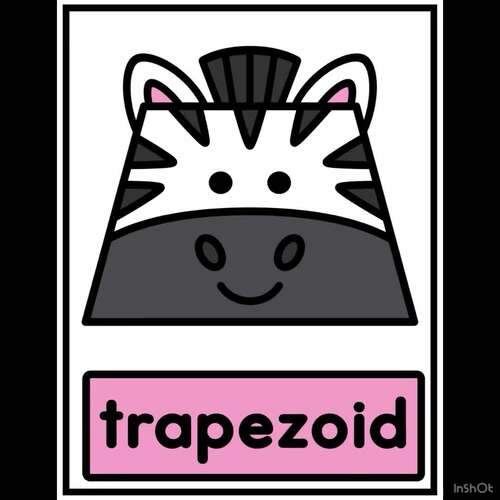 2D Shapes Classroom Posters & Practice Cards | Zebra Theme | TPT