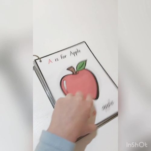 Alphabet Reader QLD Beginners Font by My Little Lesson | TPT