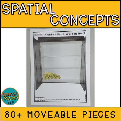Food Speech Therapy Prepositions and Spatial Concepts with REAL Photos