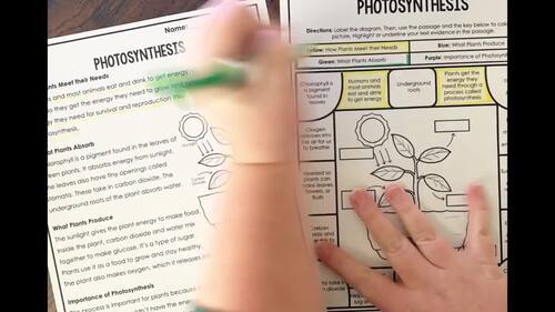 Science Activities Growing Bundle | Fossils, Photosynthesis, Waves 4th, 5th