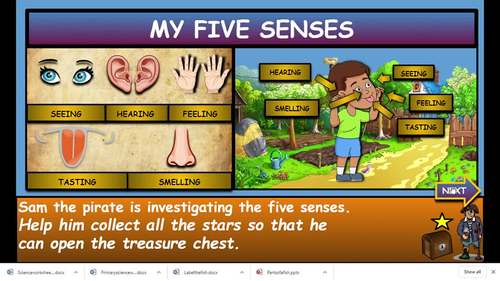 My Five Senses: Interactive Google Slides + PPT + 2 Worksheets | TPT