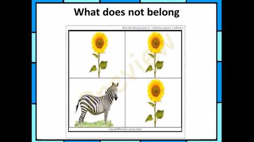 What Does Not Belong Level 1 Flash Task Slides with Real Images. POWERPOINT