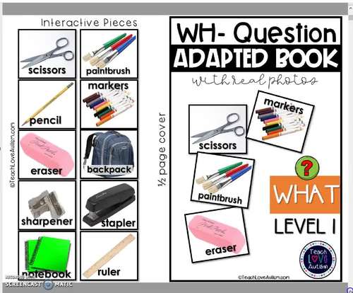 WH Question Adapted Books with Real Photos WHAT by Teach Love Autism