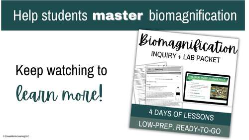 Biomagnification, Trophic Levels, and Pollution Lesson by CrouseWorks ...