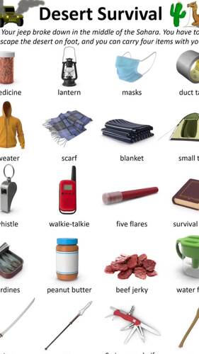 ESL Island Survival Items Worksheet Activity by ESL Gold Mine | TPT