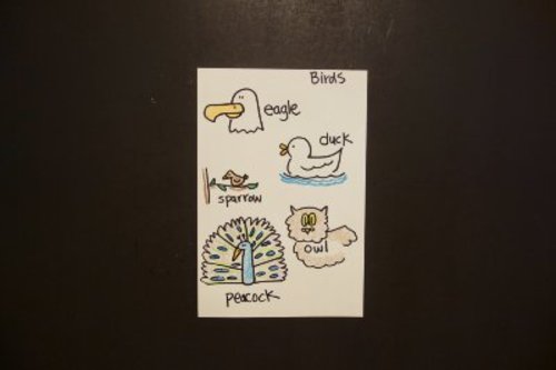 Let's Draw Classifying Animal Groups-Birds! by Patty Fernandez Artist