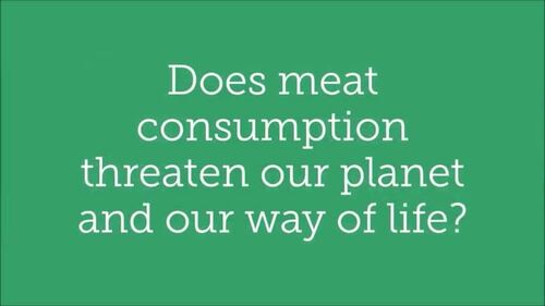 Meat and the Environment | Boom™ Learning Cards | Earth Science Lesson