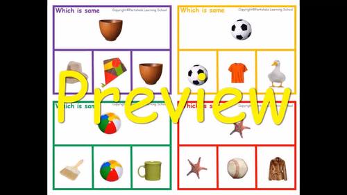 Which is Same- Match the image Task Clip cards with Real Images