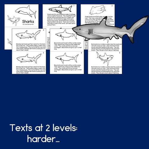 Sharks Booklet and Differentiated Reading Comprehension with Vocabulary ...