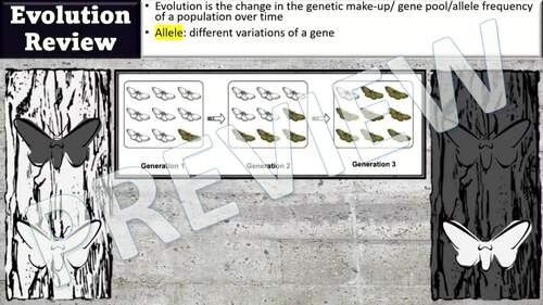 Mechanisms of Evolution Interactive & Animated PowerPoint (+ FREE ...